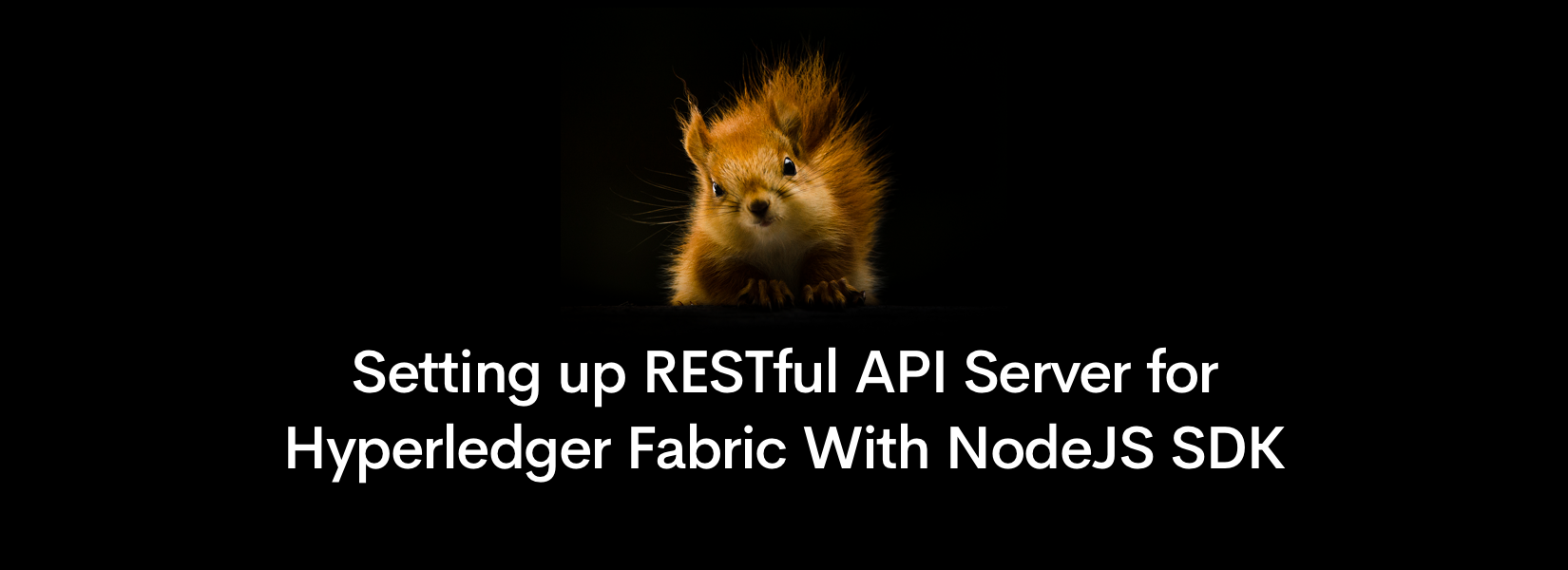 Setting Up Restful Api Server For Hyperledger Fabric With Nodejs Sdk Skcript 